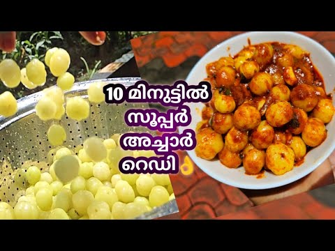 Arinellikka Achar In Malayalam | Nellipuli Achar | Star Gooseberry ...