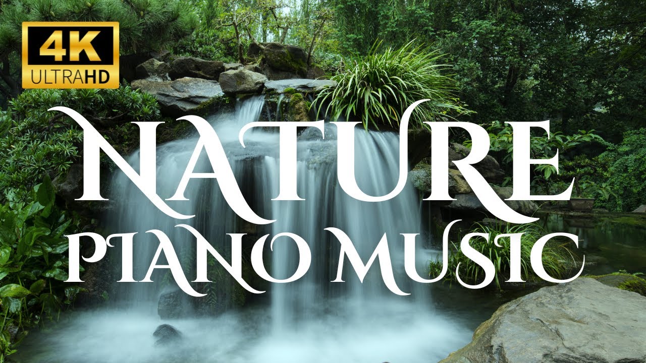 [4K Video] Nature Ambience Sounds Piano Music Collection Calm Relax ...