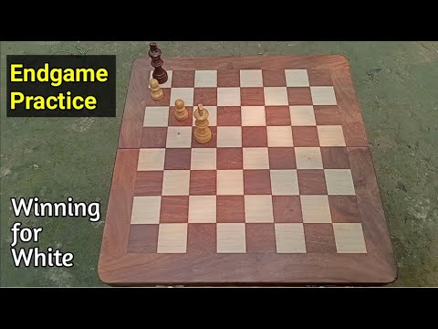King and Pawn Endgame | Pawn Promotion into Queen and Sacrifice it for ...