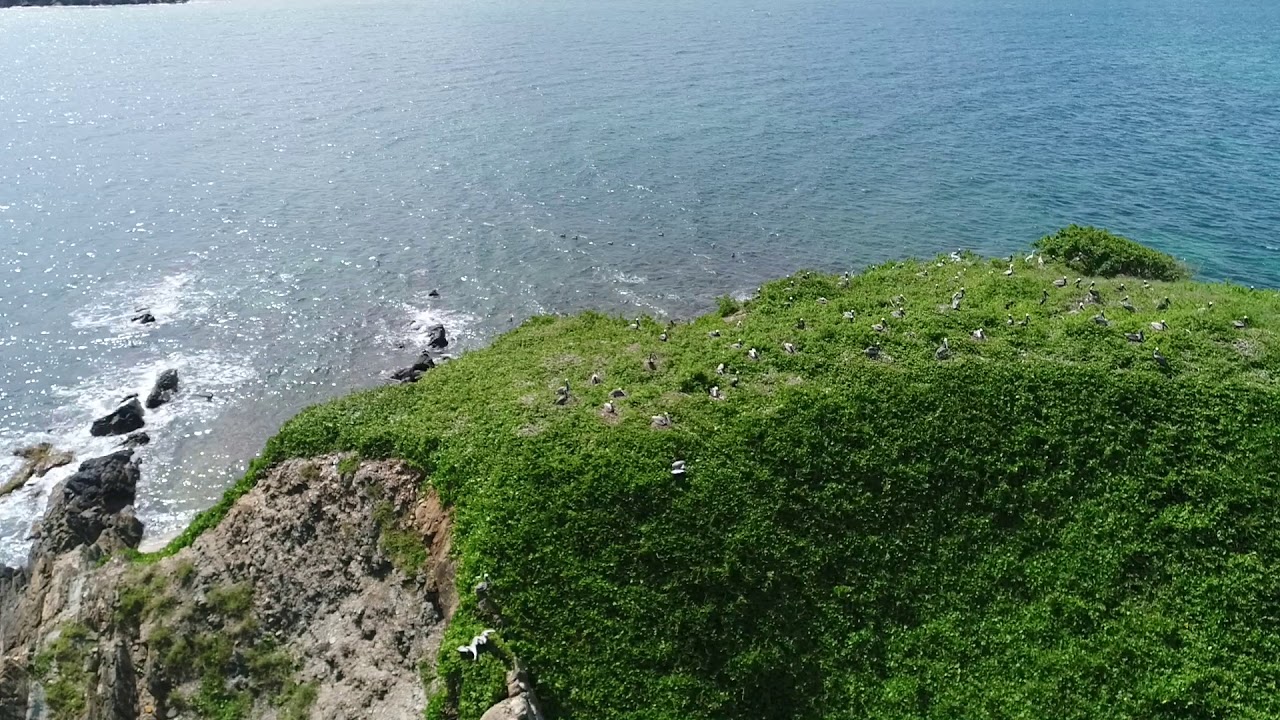 El Morillo Humacao - YouTube