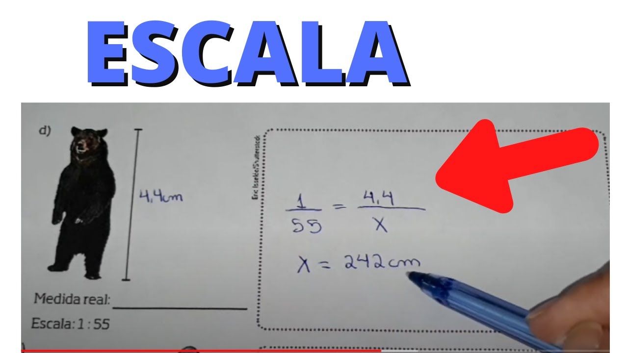 FÓRMULA DA ESCALA NUMÉRICA - COMO CALCULAR ESCALA NUMÉRICA DE UM NÚMERO ...