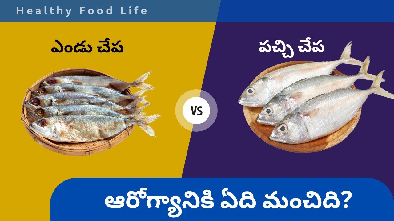 Dry Fish vs Fresh Fish | పచ్చి చేప ఎండు చేప | Healthy food life - YouTube