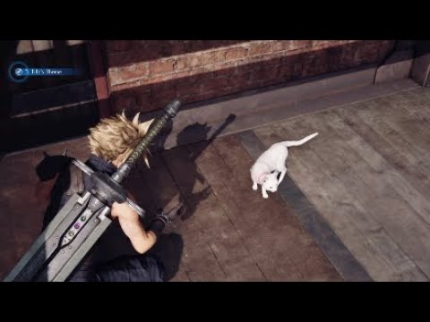 Final Fantasy 7 Remake - Find all cats, location sector 7 | Lost ...