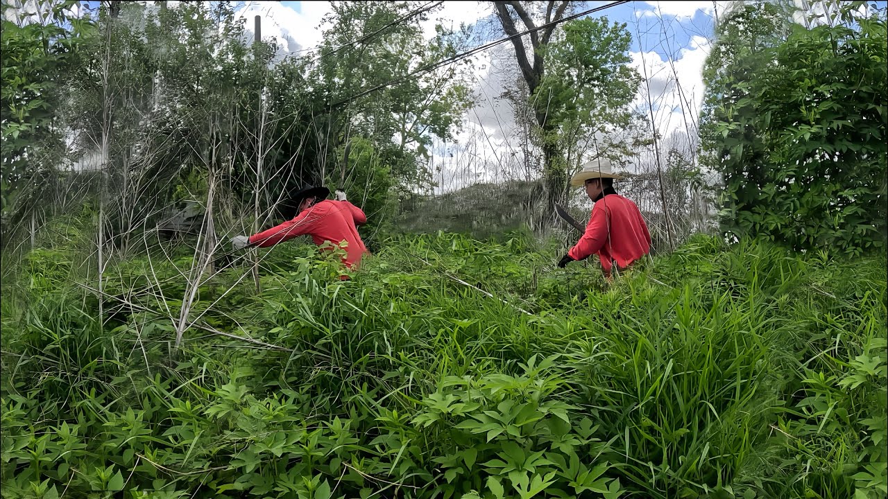 We TRANSFORMED ONE Of The WORST YARDS On YouTube (INSANE TRANSFORMATION ...