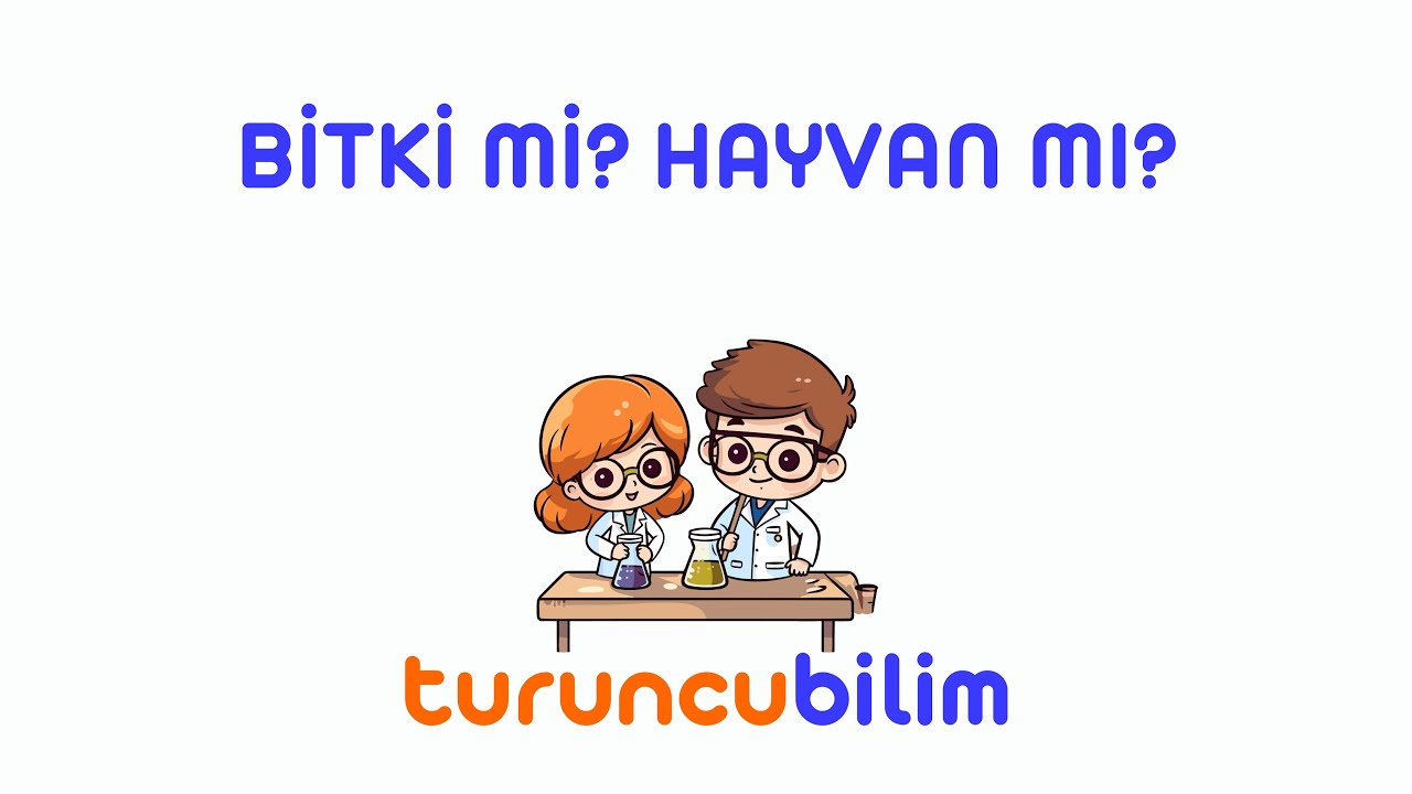 BİTKİ Mİ? HAYVAN MI? - YouTube