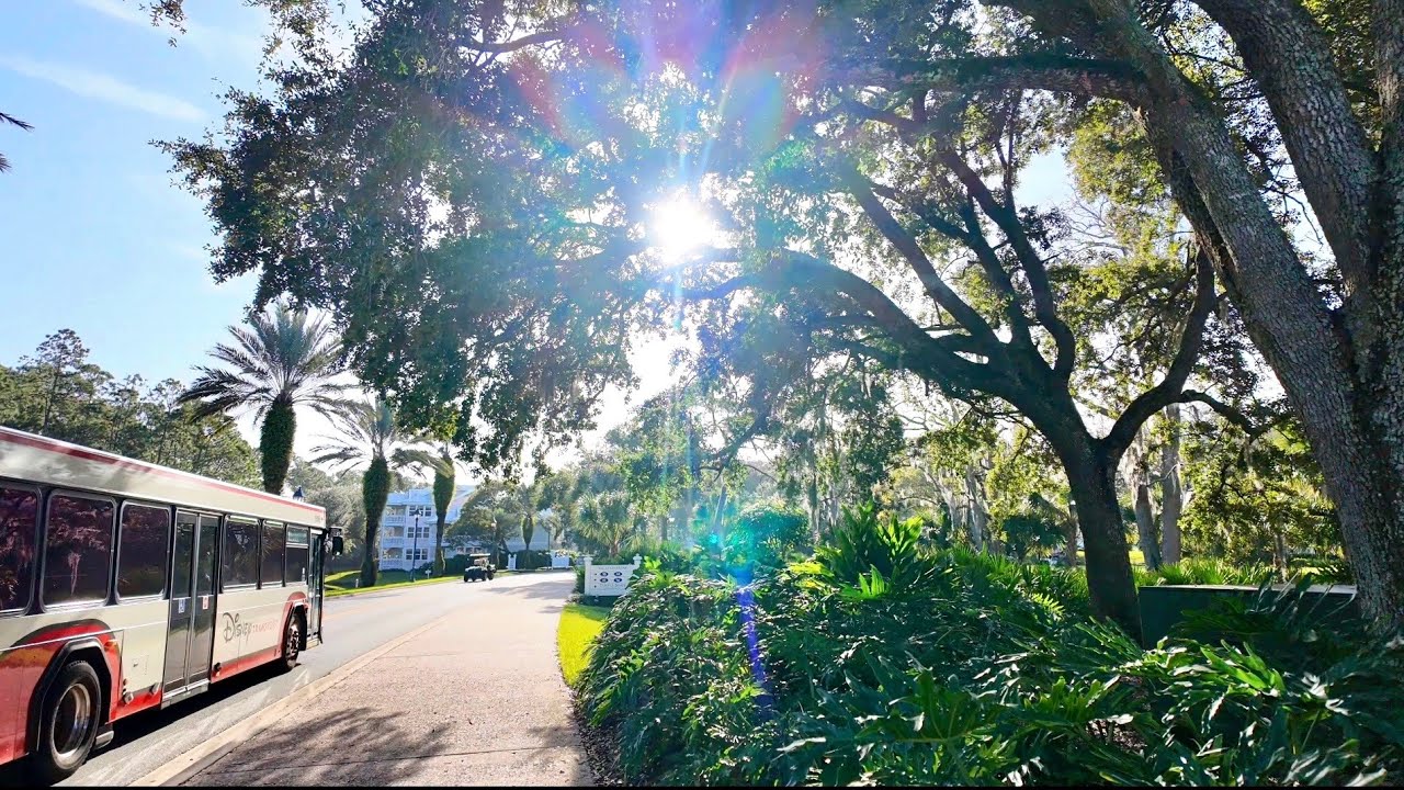 A Quiet Christmas Morning at Walt Disney World | Ride & Walk With Me 🎄 ...