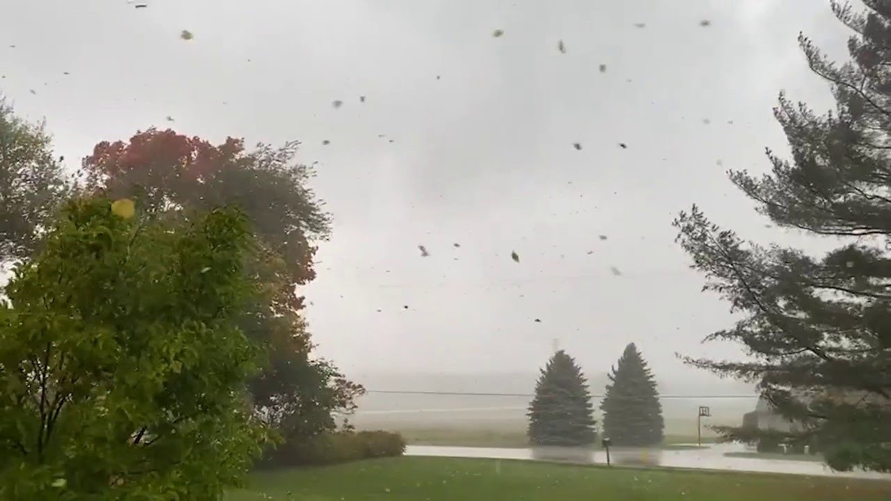 Wisconsin Storm Winds Strips Leaves From Trees Wednesday - YouTube