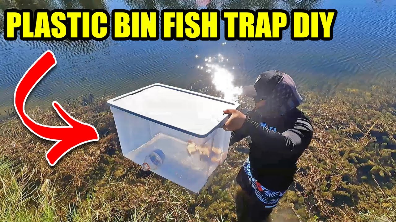 DIY PLASTIC BIN FISH TRAP | Monster Mike Fishing - YouTube