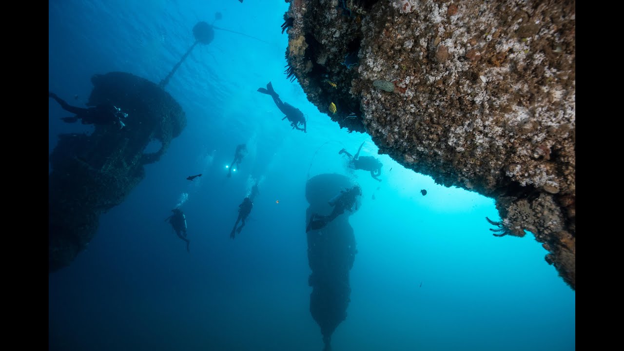 Wonder Reef City of Gold Coast - YouTube
