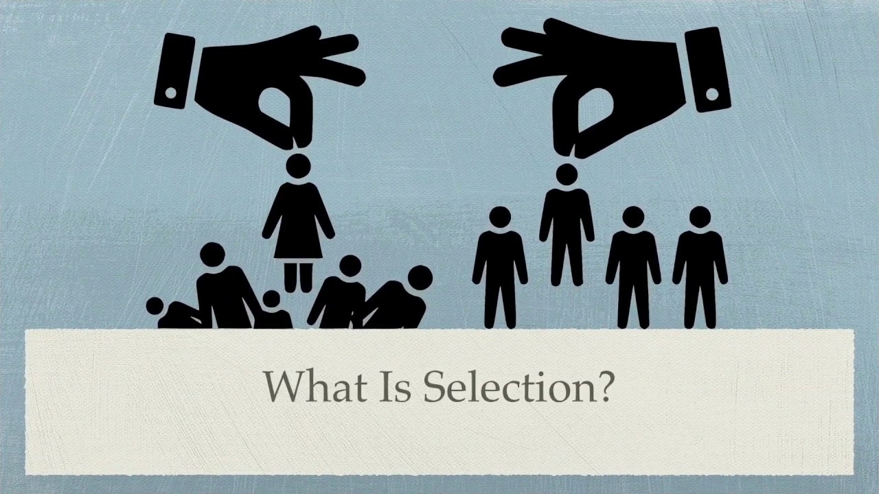 Selection Errors in Recruitment - YouTube