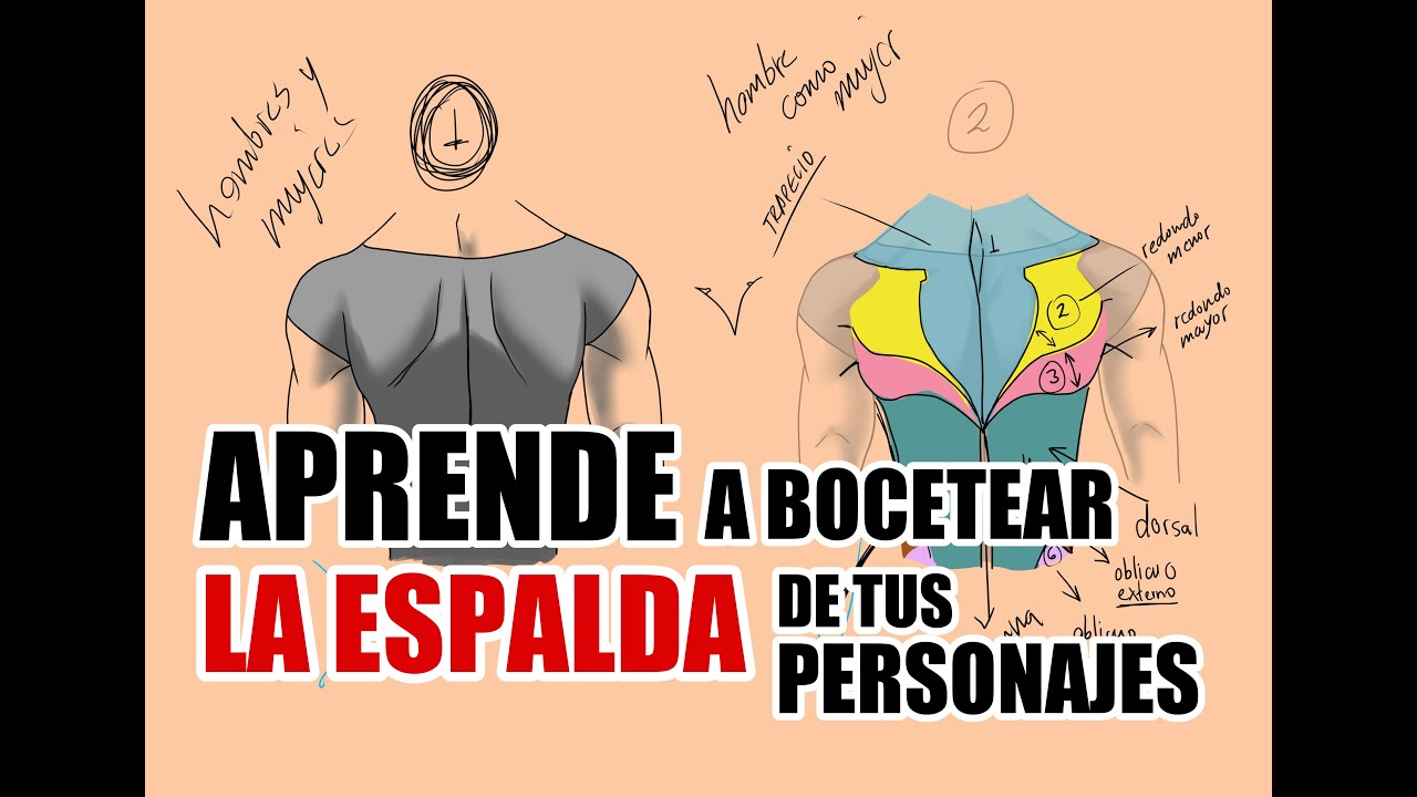 APRENDE A BOCETEAR LA ESPALDA DE TUS PERSONAJES #mangaplus #dibujo # ...