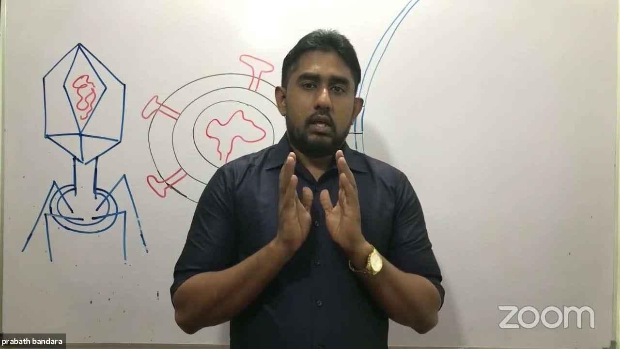 2023 AL - SFT class - YouTube