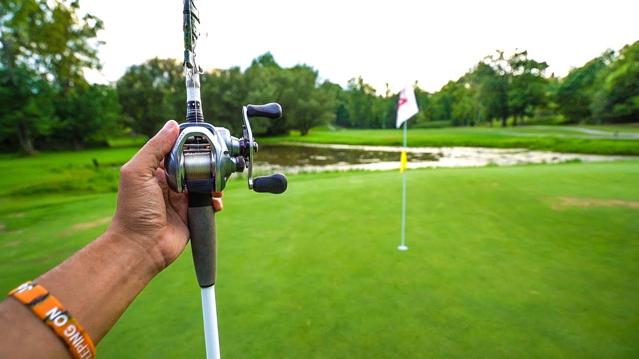 This TINY Golf course pond was loaded with fish! - YouTube