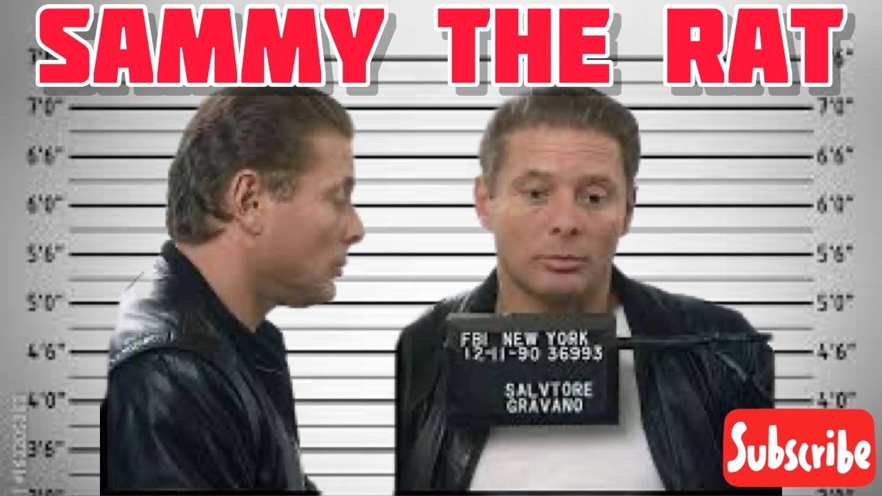 Sammy The RAT #sammythebull #gambino #mobrat - YouTube