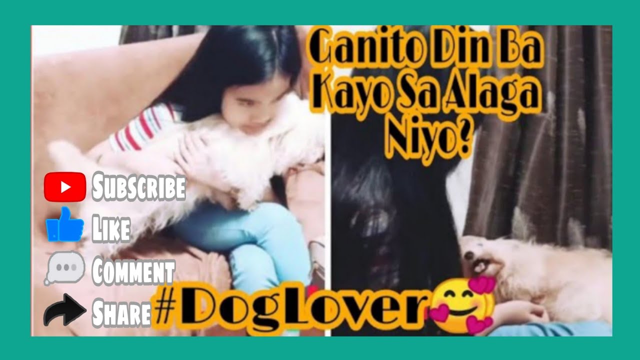 GANITO DIN PO BA KAYO Dog lover🥰 - YouTube