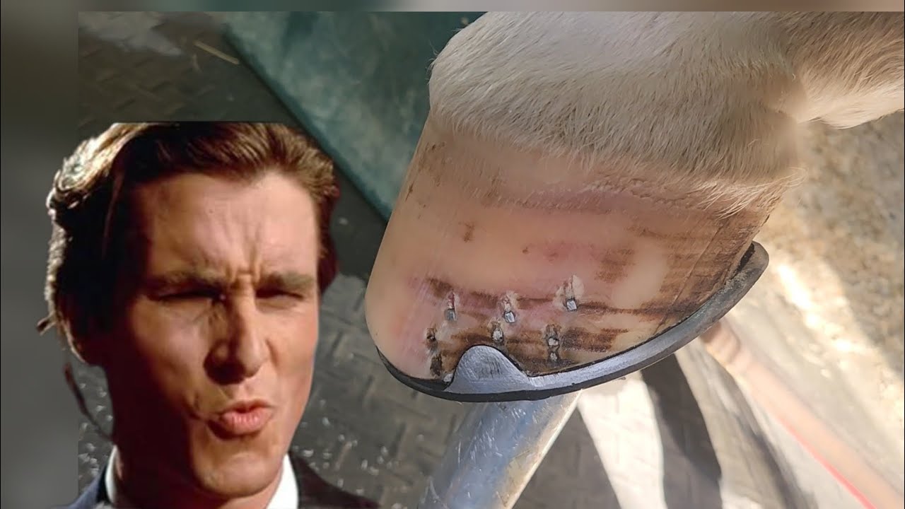 Full shoeing process of a horse hoof / Extra smooth knife work - YouTube