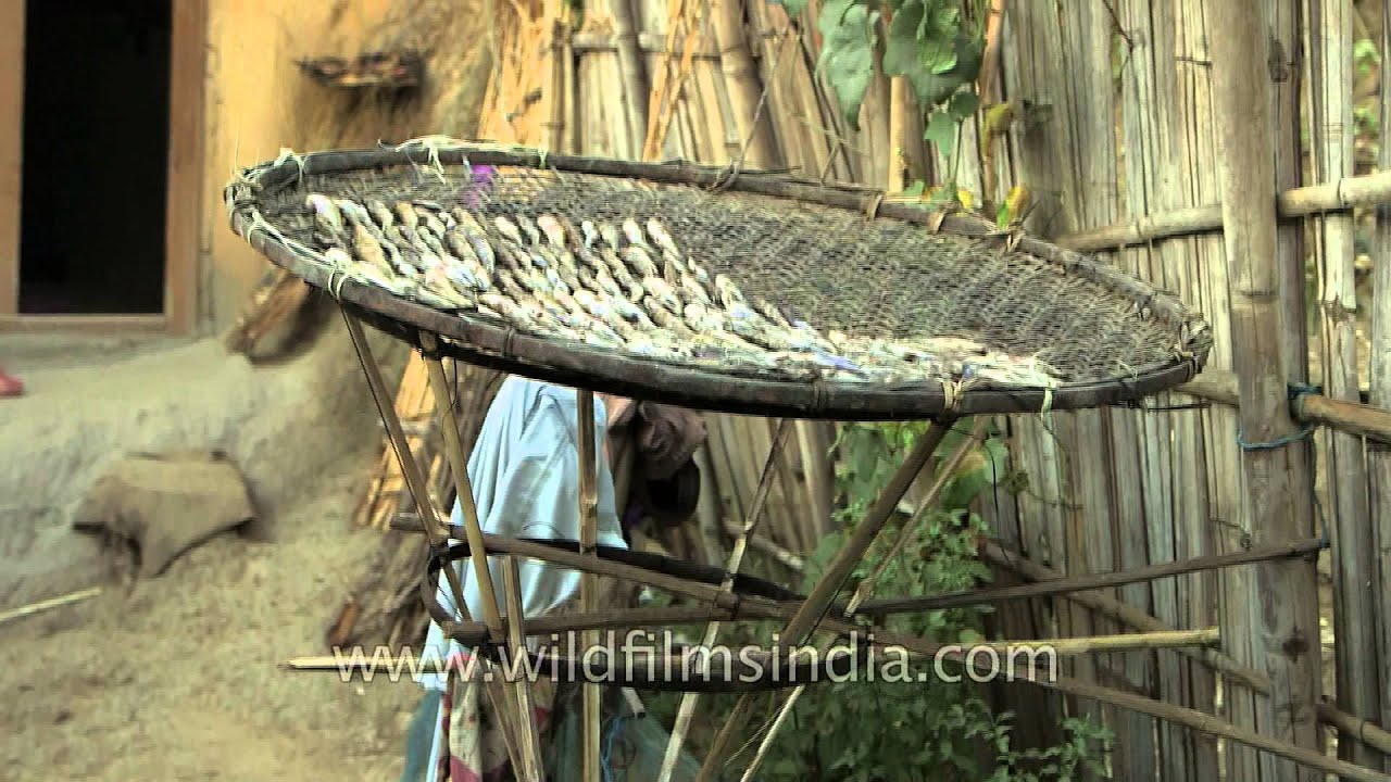 Perfect example of dehydration for fish preservation - YouTube