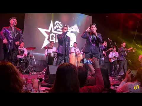 Parranda Mi Negrita" Tributo Oficial al Grupo 5 - YouTube