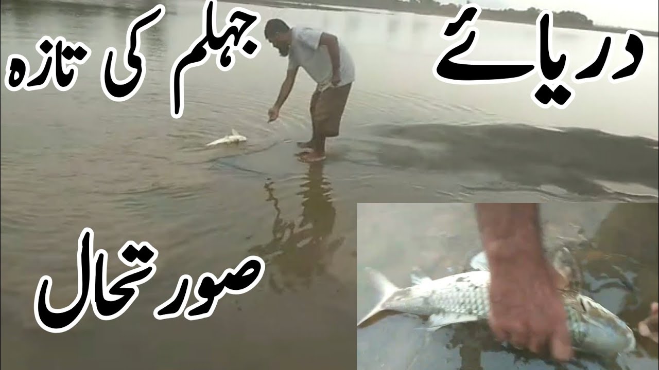 Mirgal Fish Hunting|Murakh Fishing|Fishing In Pakistan 2022|Khan ...
