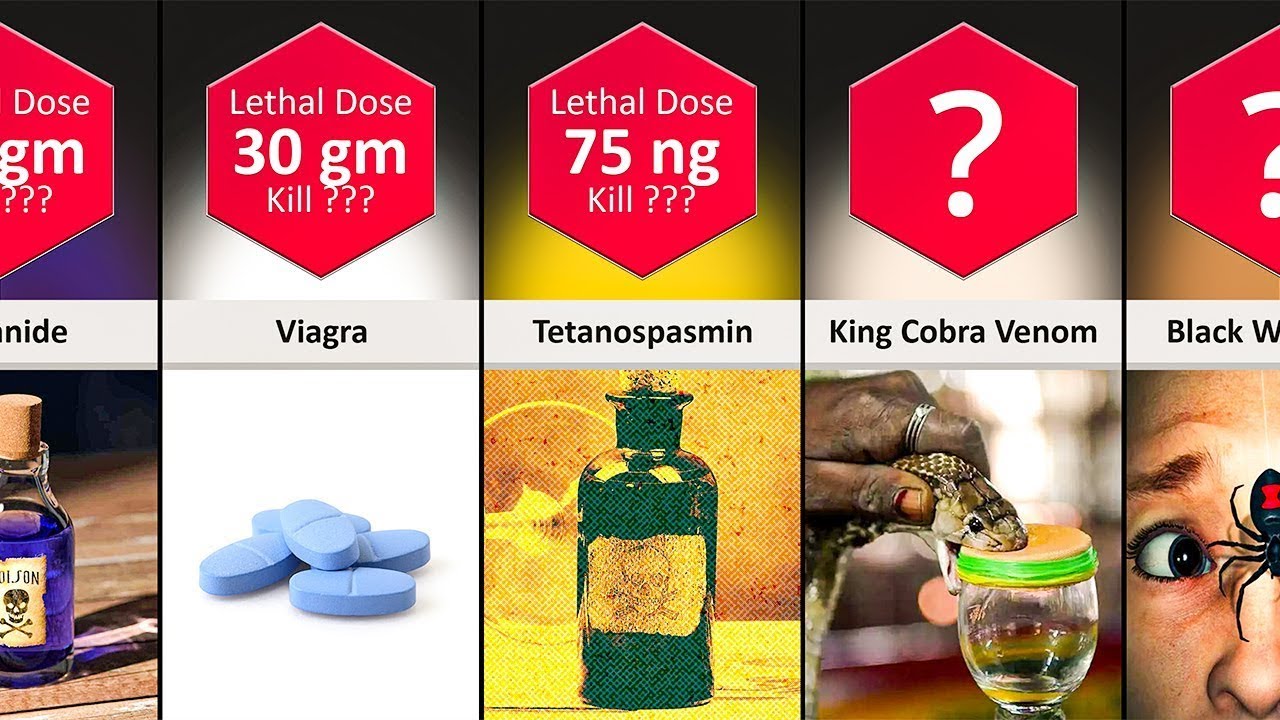 Toxicity Comparison - Most Deadliest Poisons That Can Kill You ...