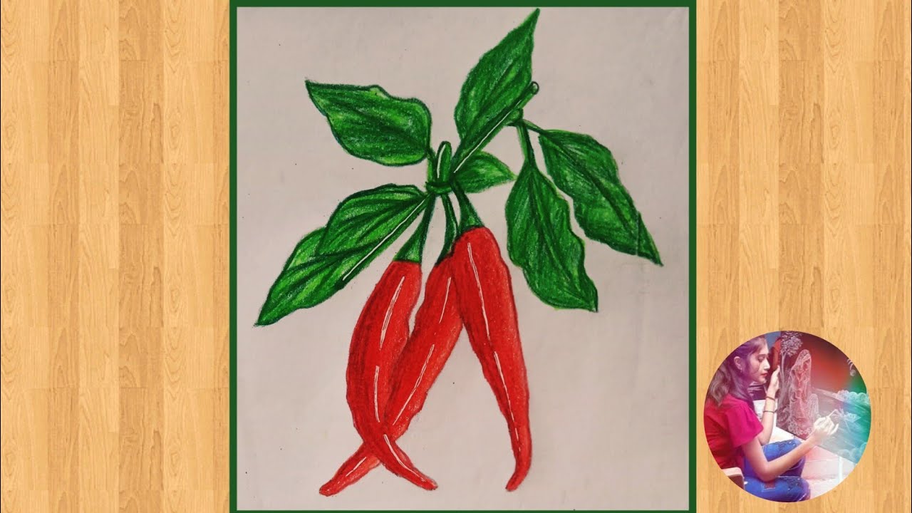 Draw Realistic Chilli With Pencil Colour / How To Draw A Chilli Step By ...