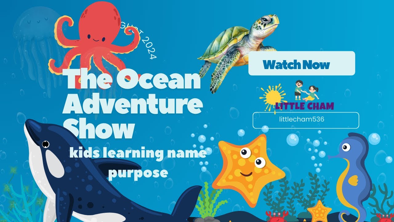 The Ocean Adventure Show and Meet some amazing sea creatures. - YouTube
