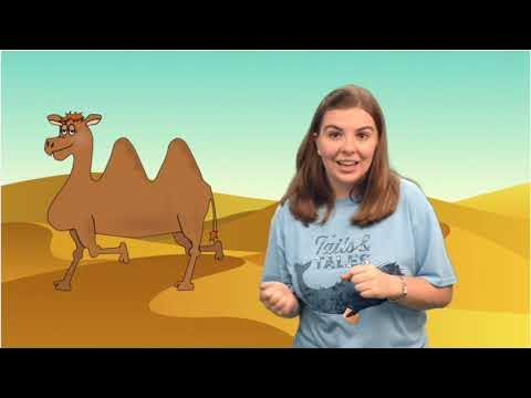 Sally the Camel | Storytime Song - YouTube