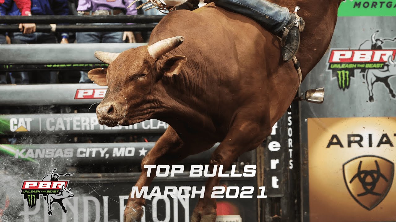 Bringin' The 🔥: Best Bulls in March 2021 - YouTube