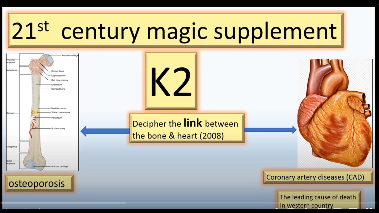 Vitamin K2 as the miracle of the rejuvenation - YouTube