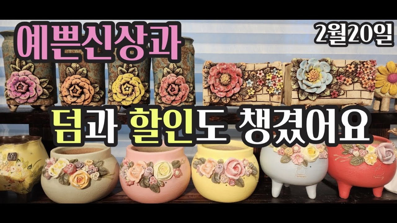 2월20일 예쁜 신상과 덤 할인 챙겨가세요 ~ 꽃담다육스토리예쁜화분화분싸게파는곳다육식물多肉植物succulents다육이꽃담화분다육화분꽃담다육스토리화분