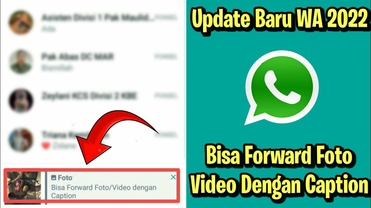 Update Baru WA!!! Bisa Forward Foto/Video dengan Caption - YouTube