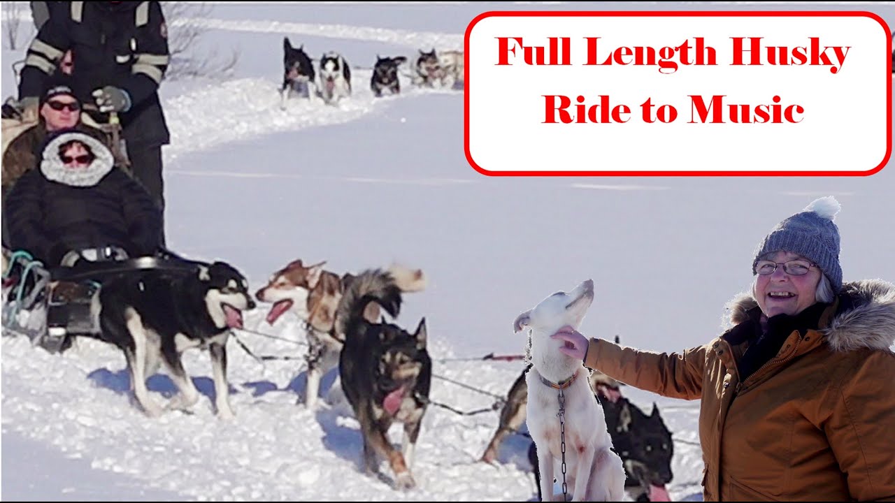 P & O Aurora | Northern Lights Husky Excursion Full Ride With Music ...