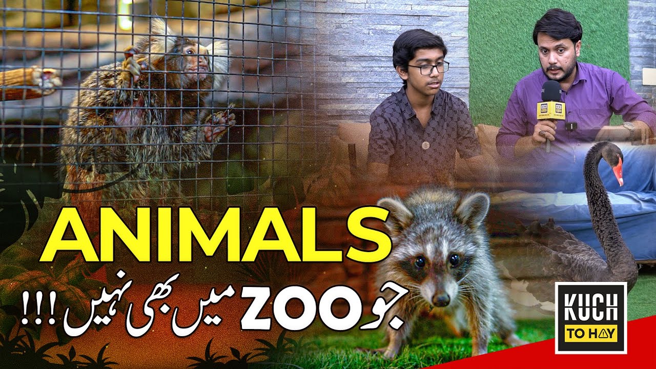 Unbelievable Rare Animals in Pakistan | Farmhouse Zoo You’ve Never Seen ...