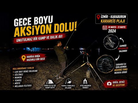 CAMGÖZ KÖPEK BALIĞINA NE SALDIRDI ? | İZMİR KARABURUN - KARAREİS