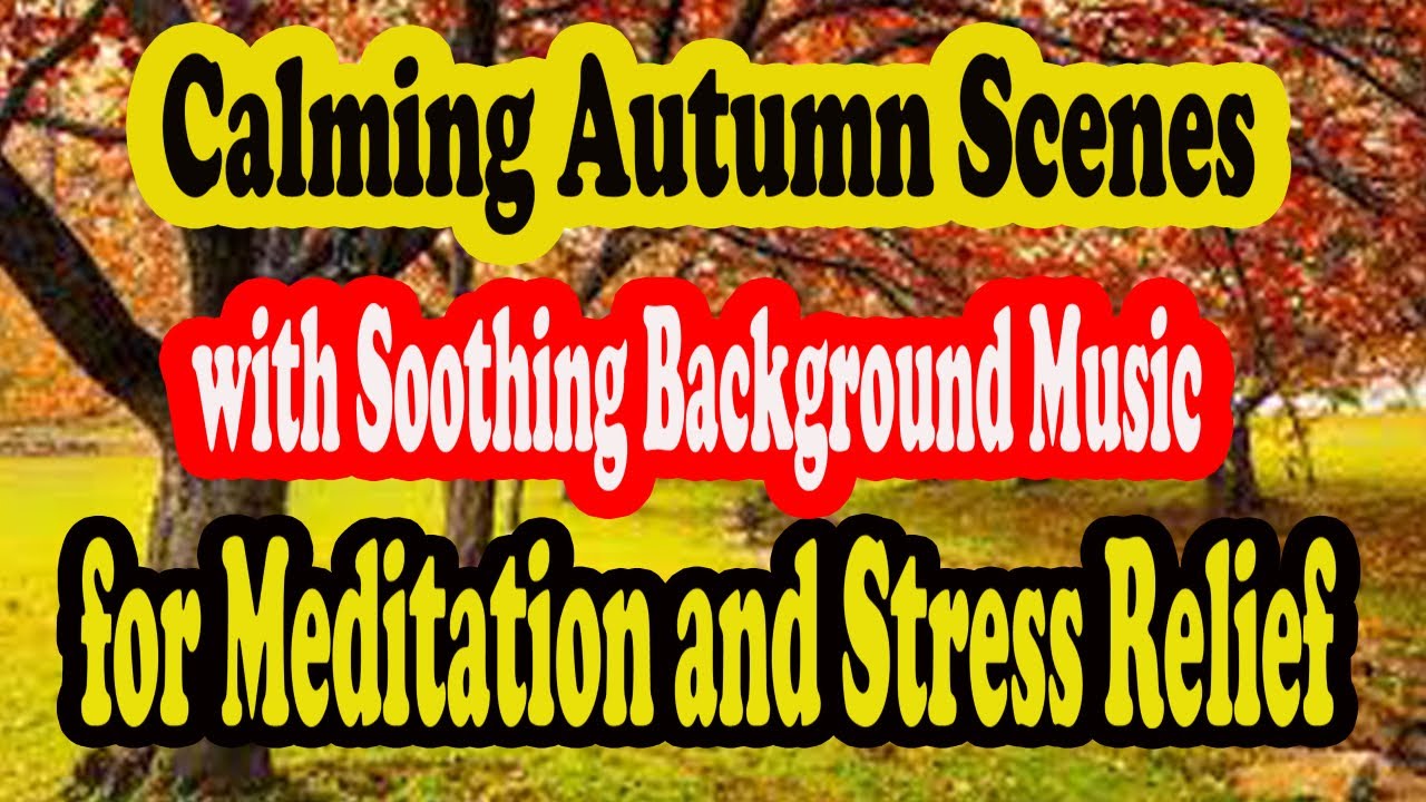 "Calming Autumn Scenes with Soothing Background Music for Meditation ...