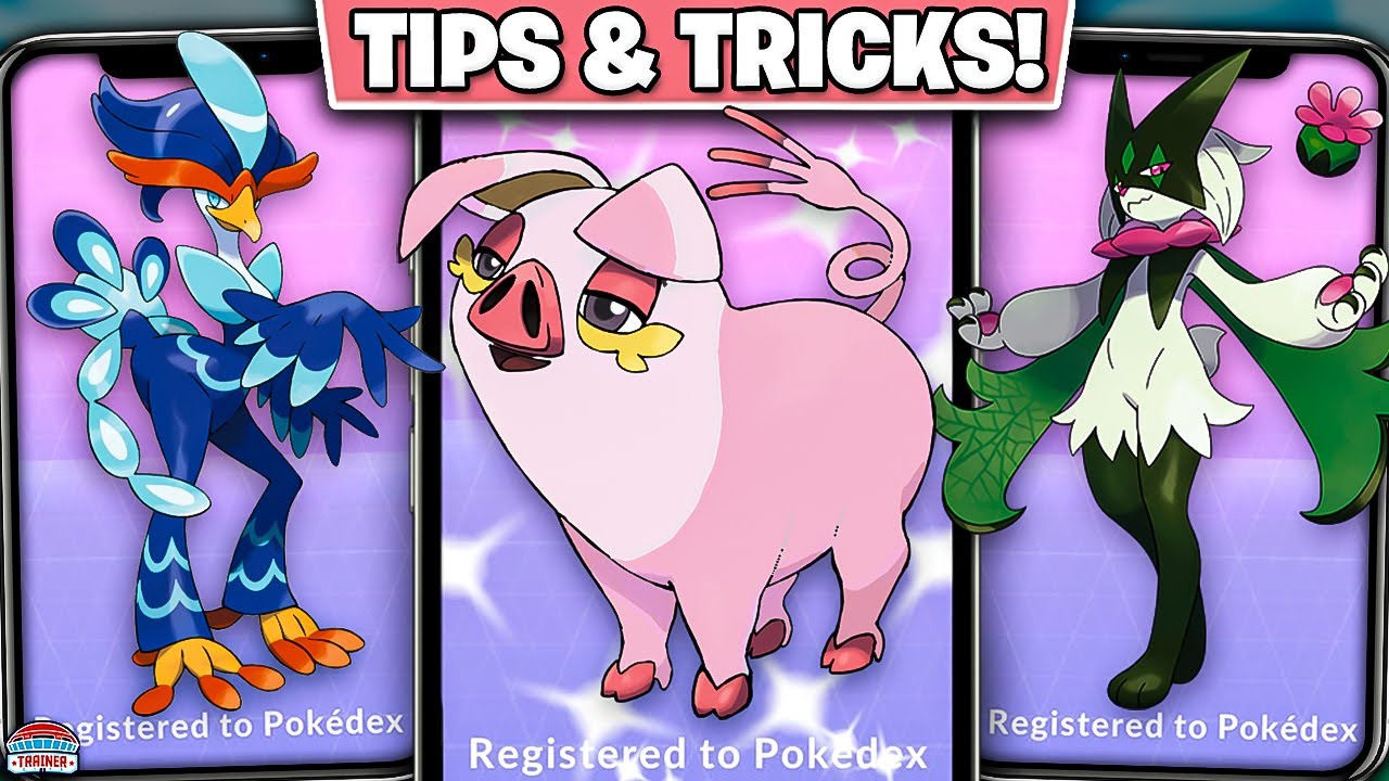 Paldean Adventure Event: Top Tips, Strategies & Secrets - YouTube