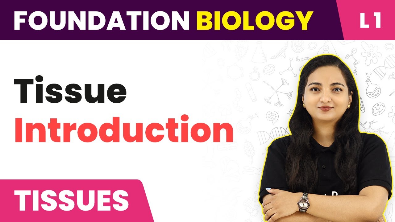 Tissues - Introduction | Tissues - L1 | NEET Foundation Biology - YouTube