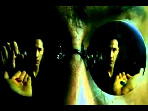Matrix - Morpheus Neo choice - YouTube