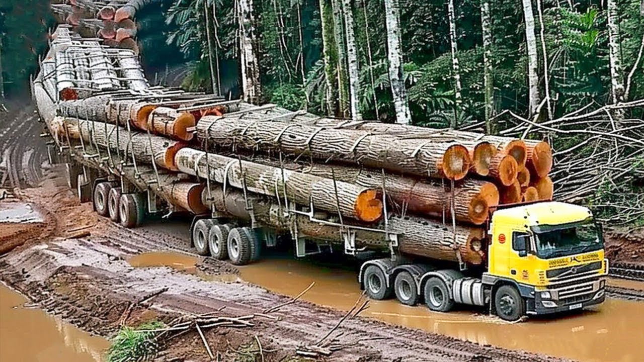 155 Extreme Dangerous Transport Skill | Oversize Load Heavy Equipment ...