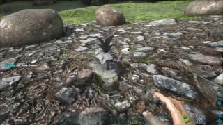 Ark Rare Flower Farming Ragnarok | Best Flower Site