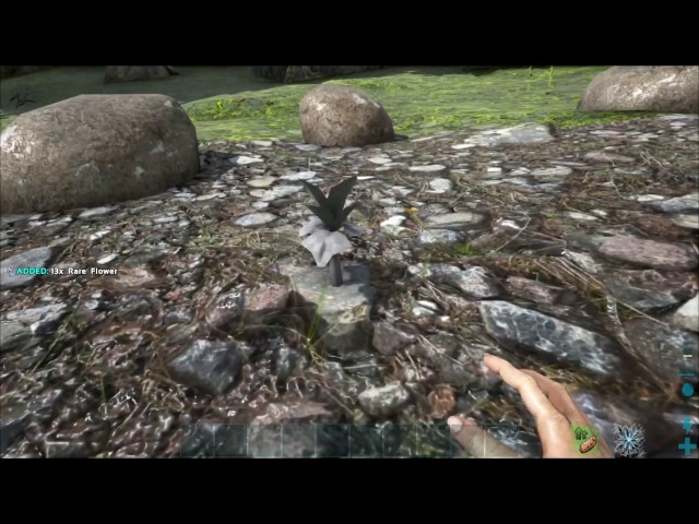 Ark Rare Flower Farming Ragnarok | Best Flower Site