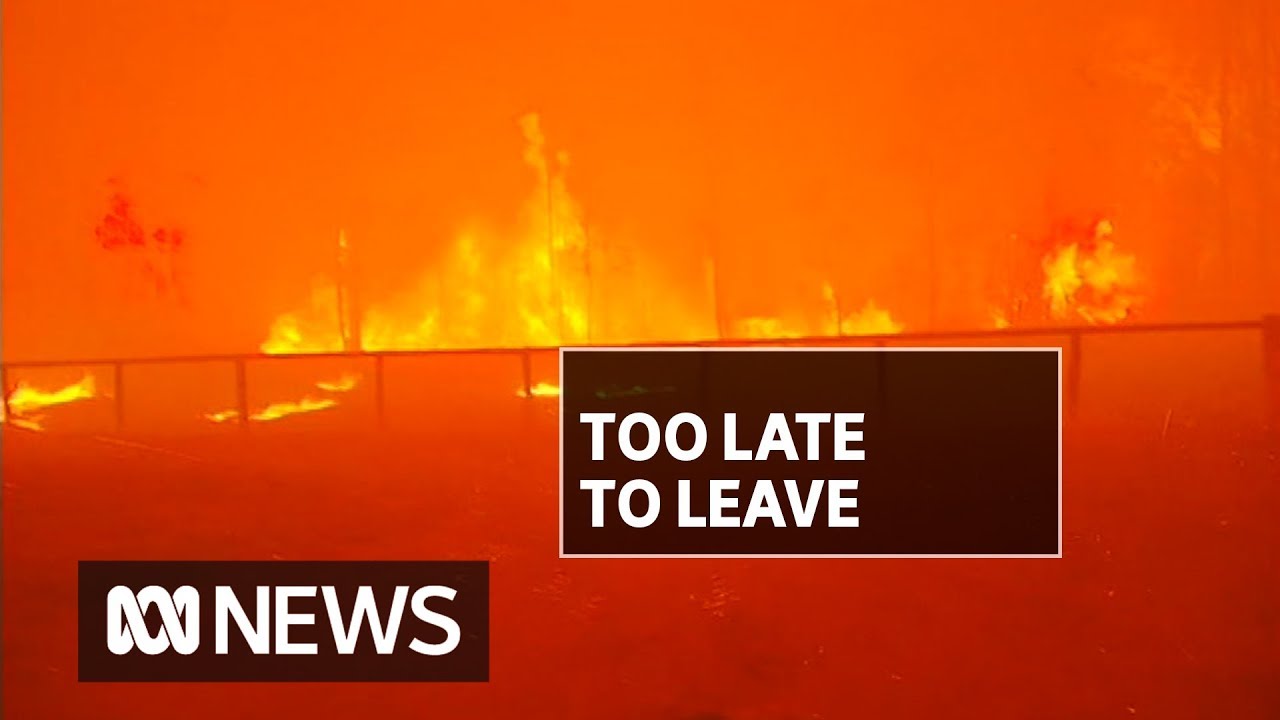 Homes destroyed as bushfire emergency ravages NSW and Queensland | ABC ...