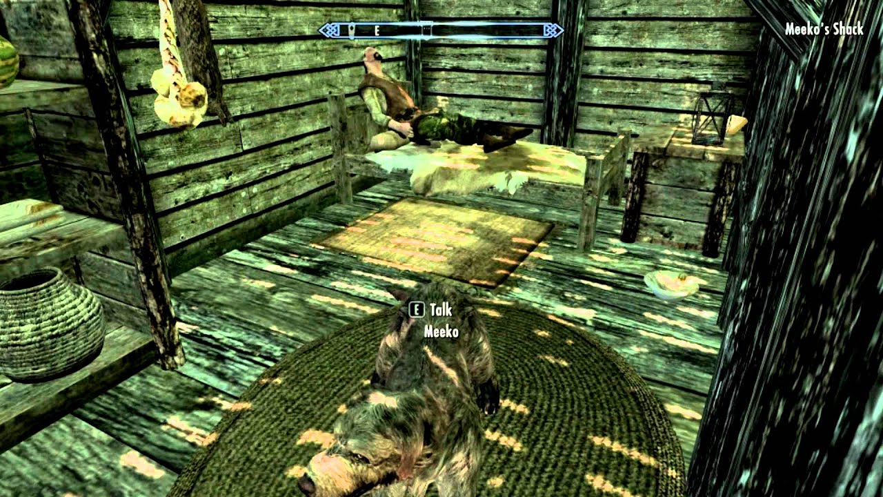 Skyrim: How to Find Meeko the Dog - YouTube