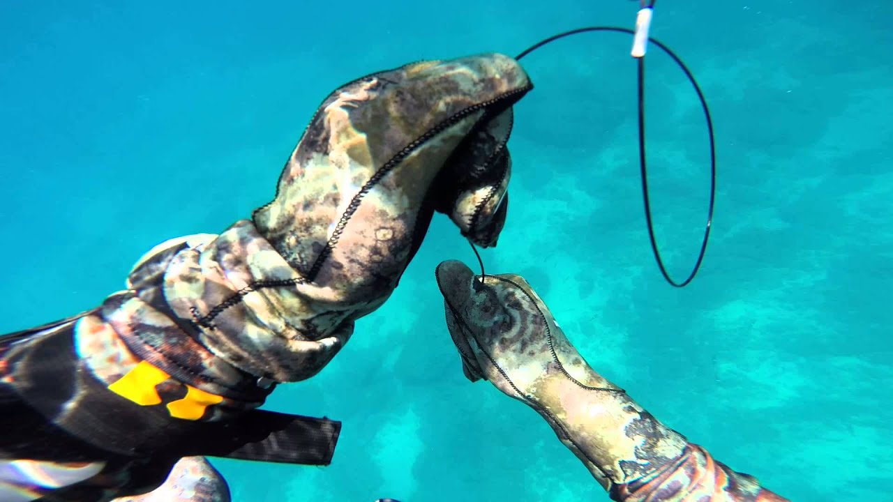 Spear fish Mulege Mexico - YouTube