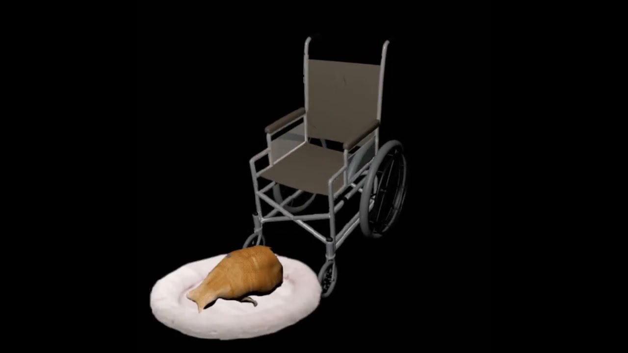 Stupid crippled cat falling off chair with fart reverb - YouTube
