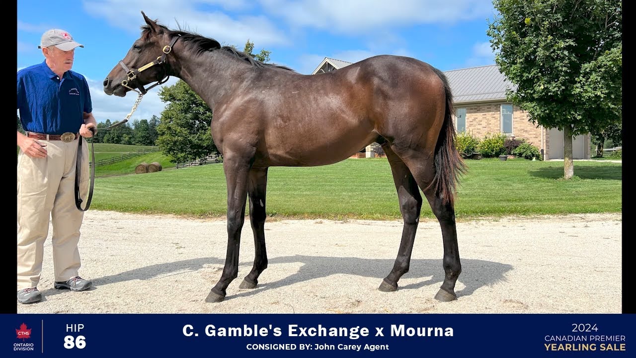 CTHS-ON 2024 - Hip 86 - c. Gamble's Exchange x Mourna - YouTube