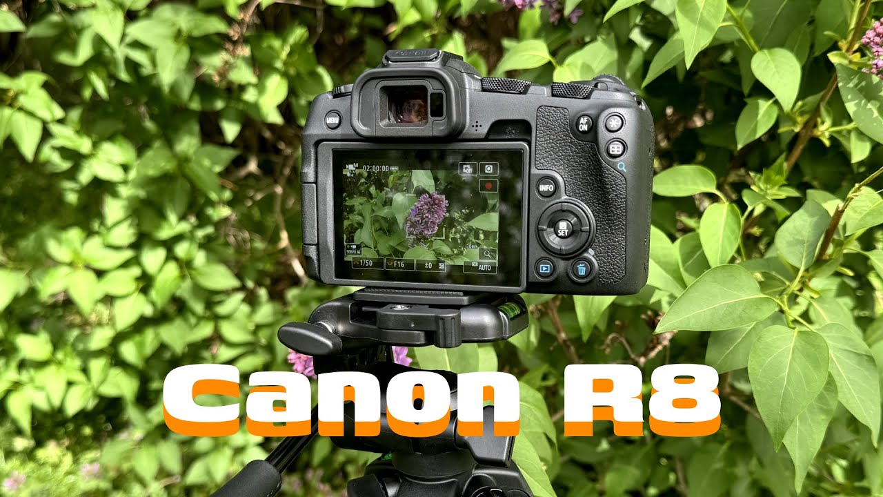 How to Create Bokeh Effect on Canon EOS R8 - YouTube