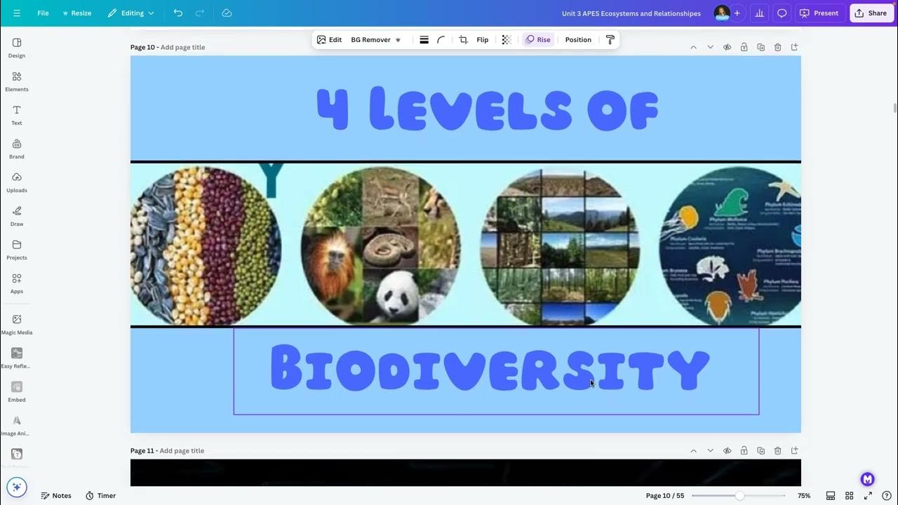 APES Unit 3 Ecosystem Pt 1 - YouTube