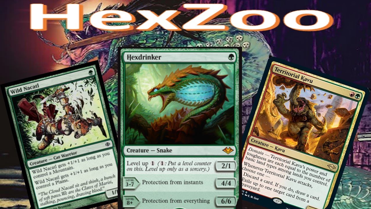 Hexdrinker Zoo || Hex Crushing it in Domain Zoo || Live Gameplay ...