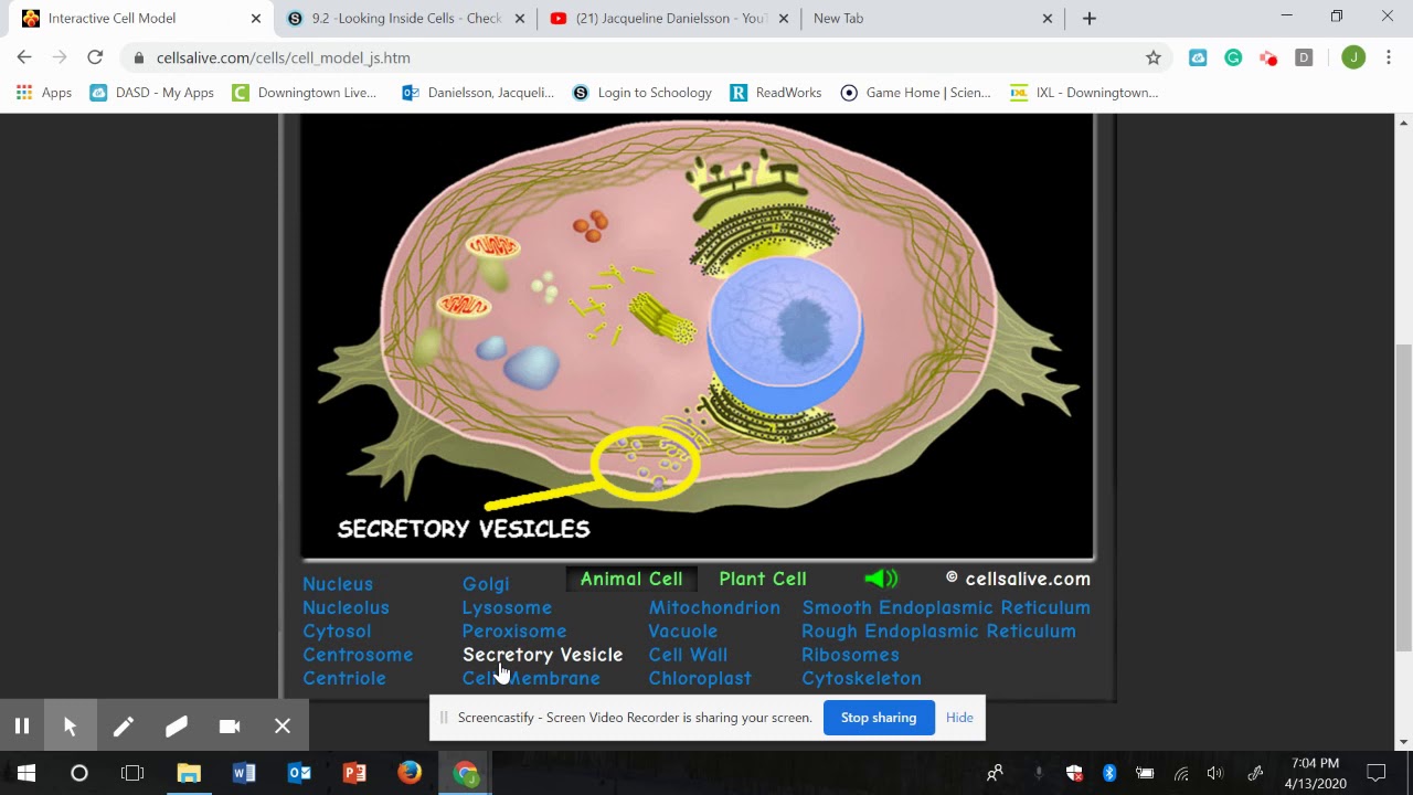 How To Use Cells Alive Website YouTube How To Use Cells Alive Website YouTube